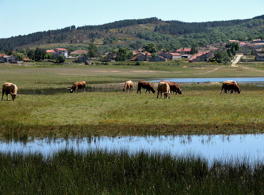 Morgade | Ecomuseu de Barroso